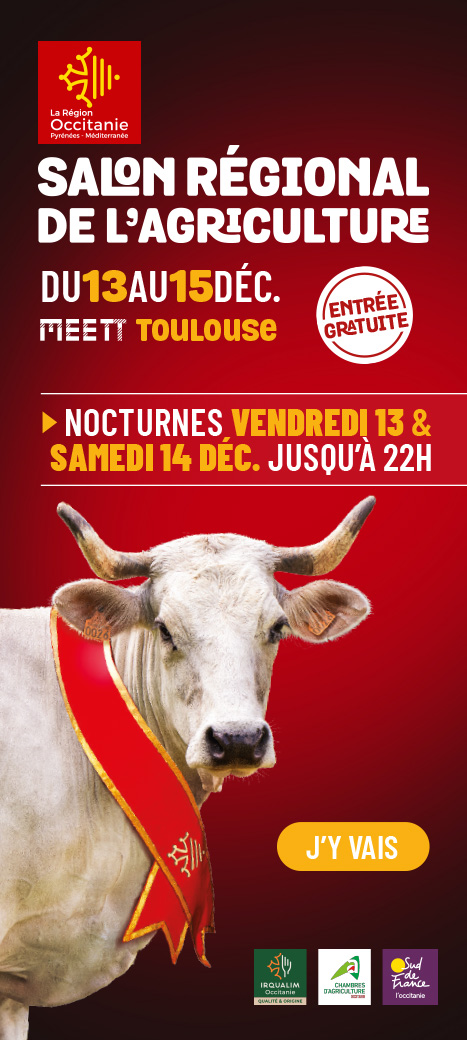 GHOST • Zénith Toulouse Métropole - Festival - Ramdam Magazine