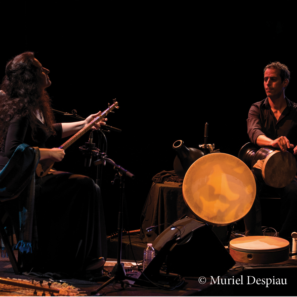 Shadi Fathi & Bijan Chemirani - Musique - Ramdam Magazine