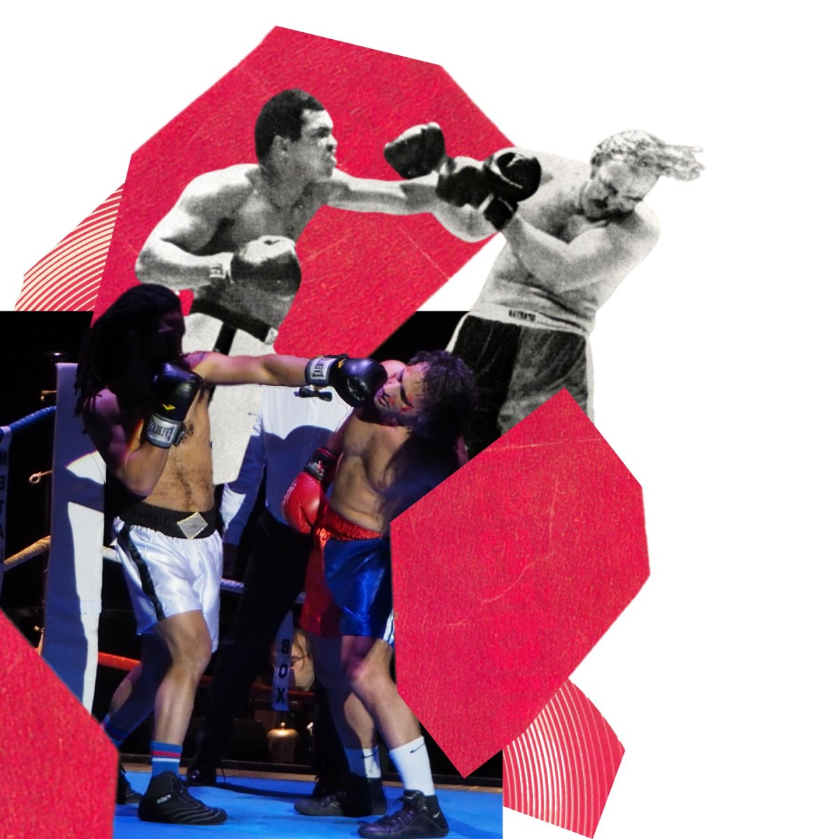 Chuck ou L’histoire du véritable Rocky Balboa - De Gilles Ramade et ...