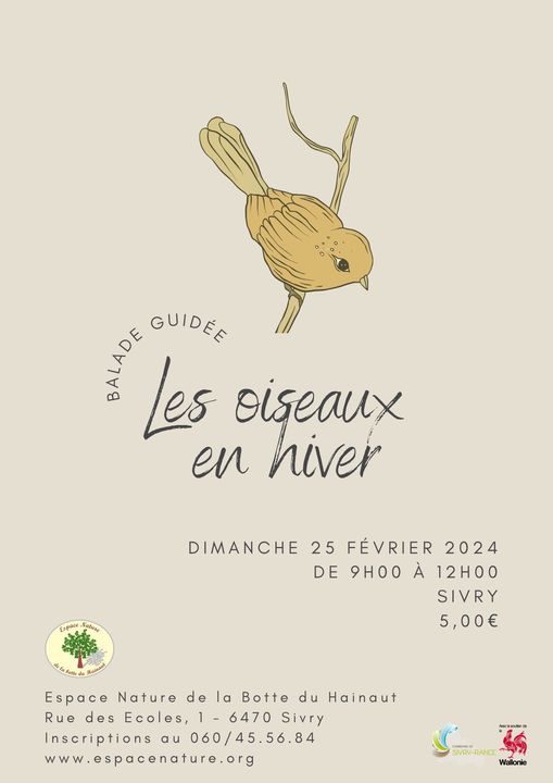 Balade guidée "Les oiseaux en hiver" - Divers - Ramdam Magazine